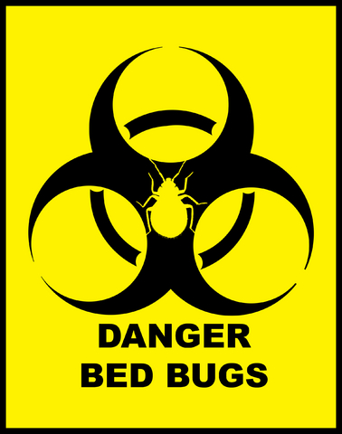 Bed Bugs in the Workplace: How to Handle a Growing, Creepy HR Issue | ERE