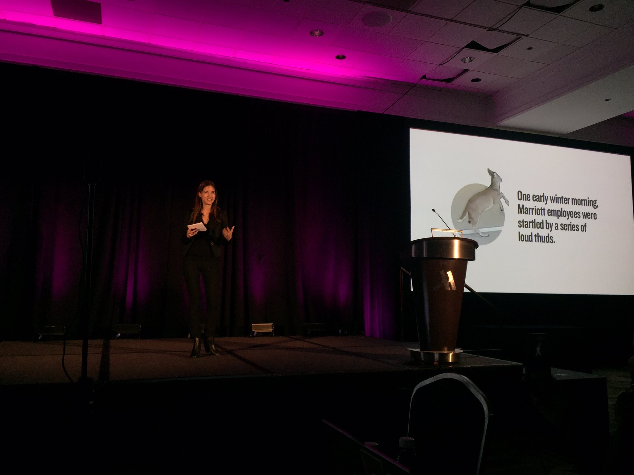 Oh Look a Purple Squirrel! Break Outside of the Box and Beyond ...