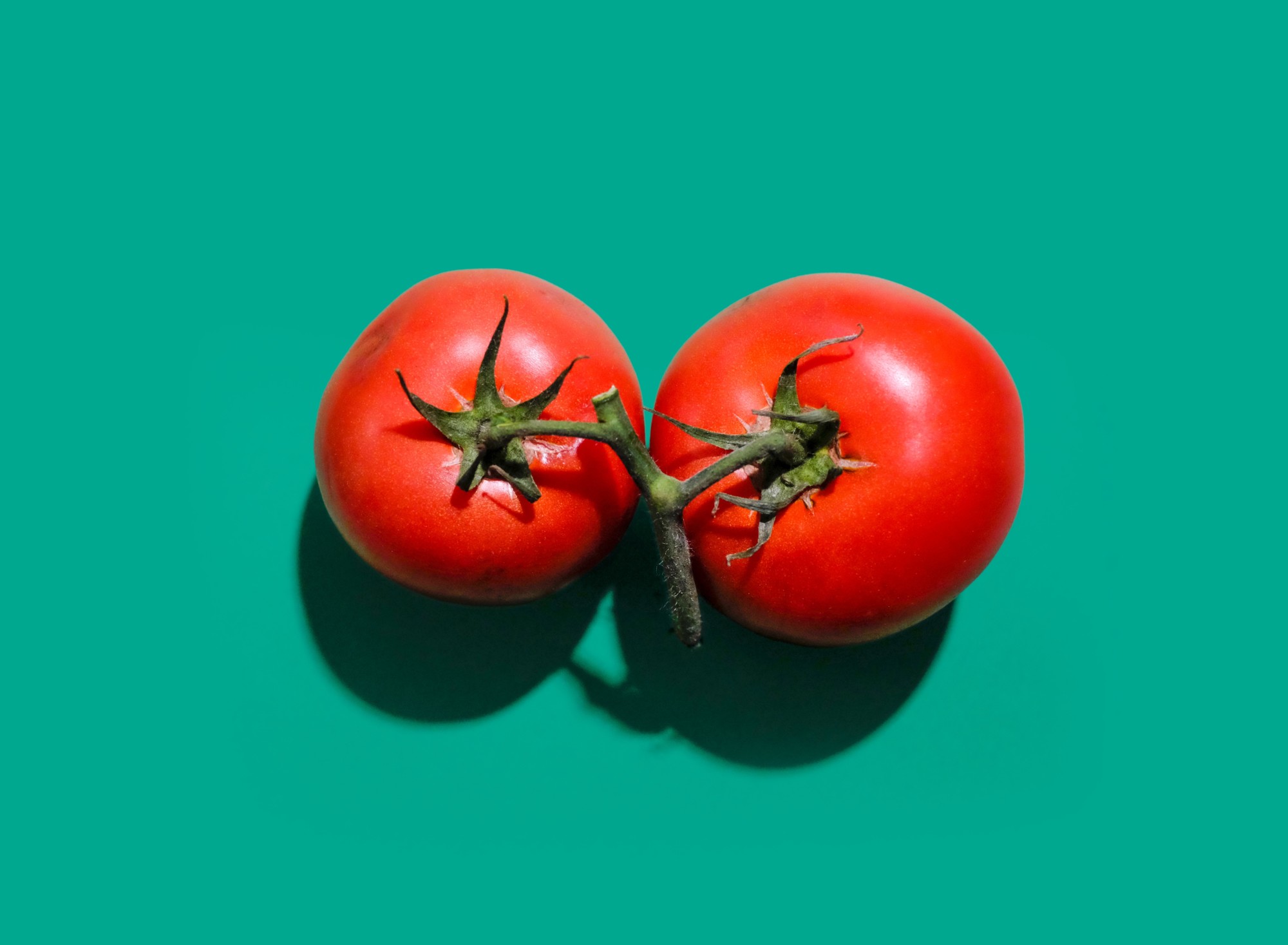 Why Tomatoes Are Critical for Working at Home | ERE