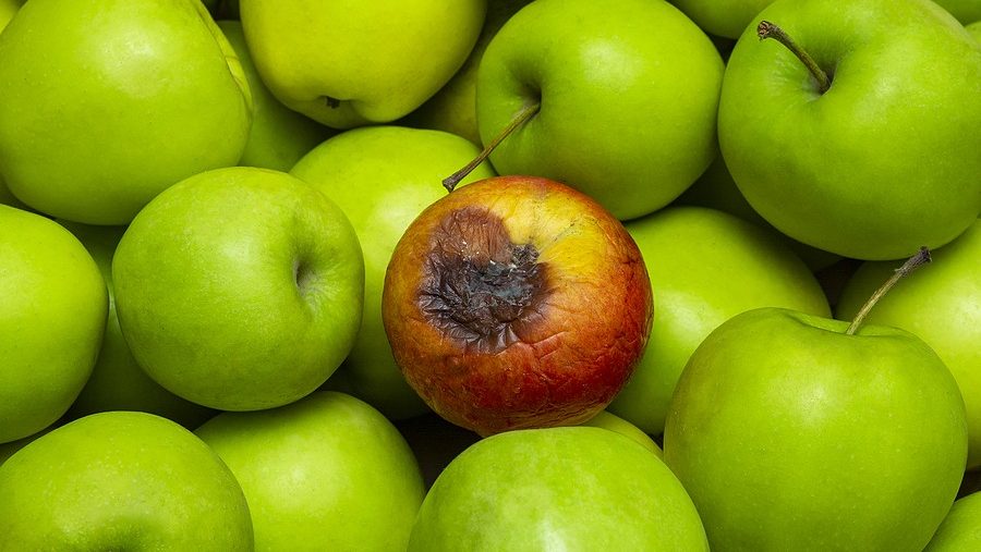 ‘We All Know That Recruiter Who Gives Us All a Bad Reputation’ | ERE